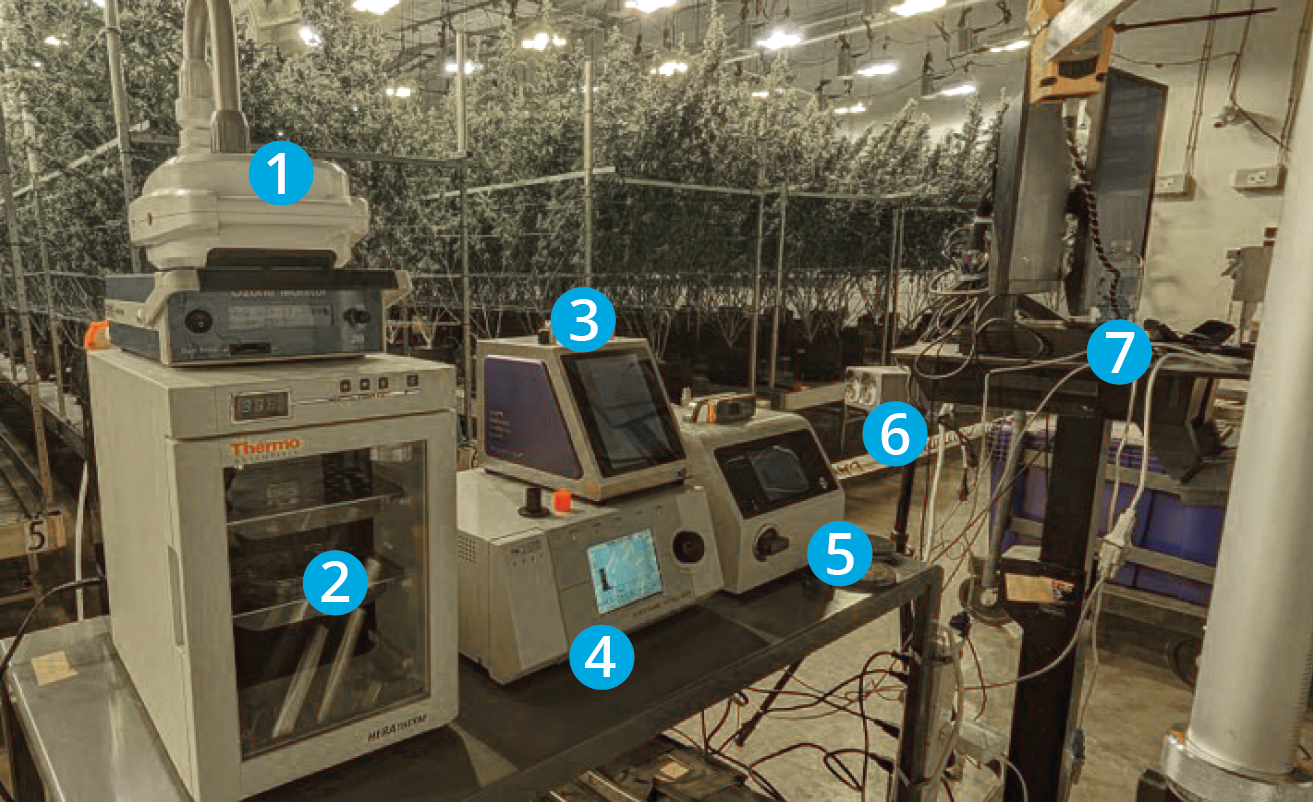 GPS Air | Case Study | Medical Cannabis Grow Facility Case Study